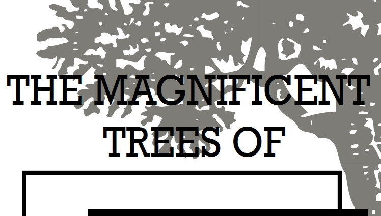 Take a Tree Tour – Sacramento Park City